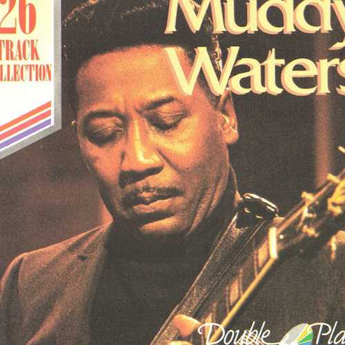 Muddy Waters Albums